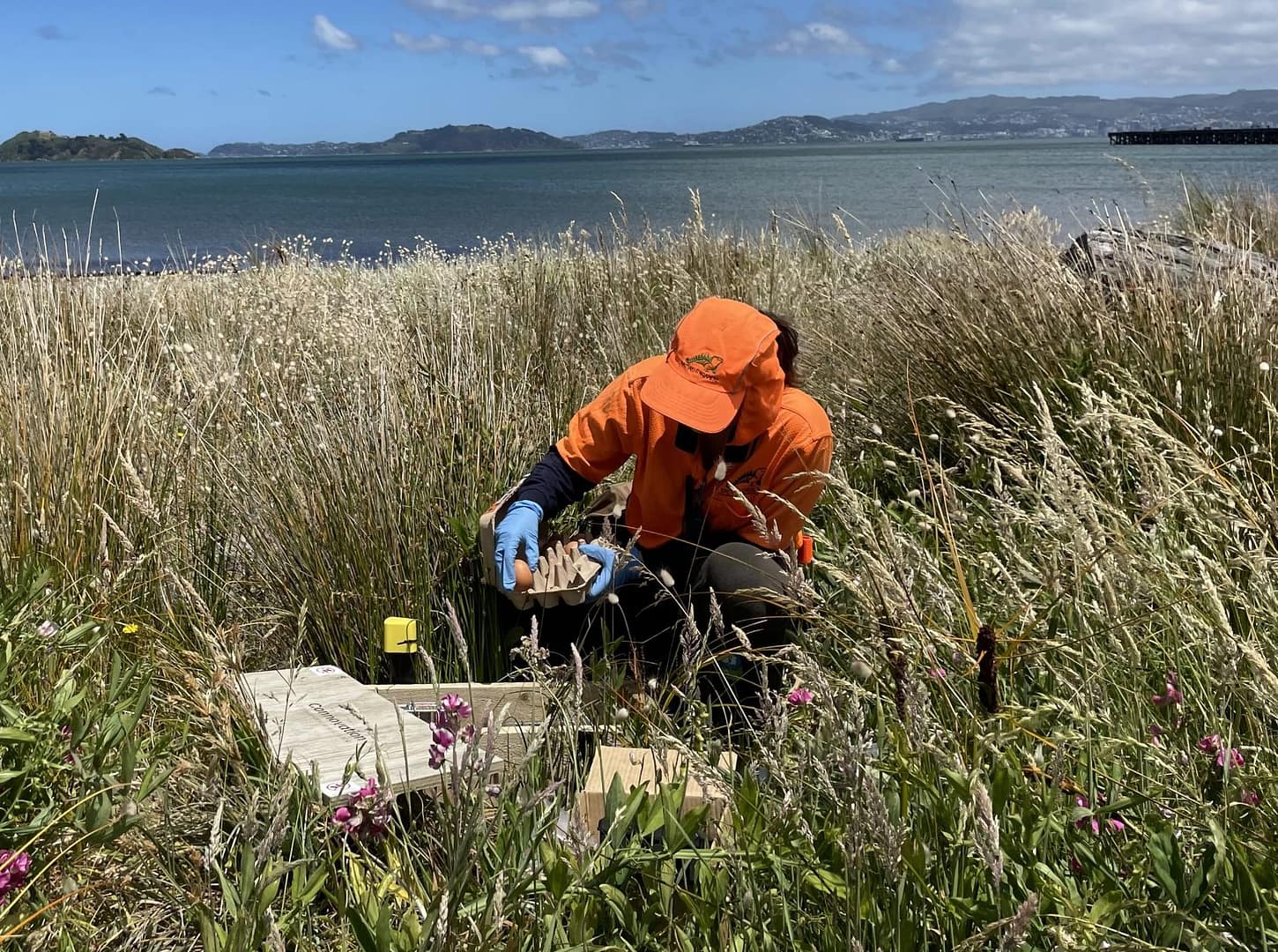 Pest Animal Control | KAITIAKI O NGAHERE | Contact Us